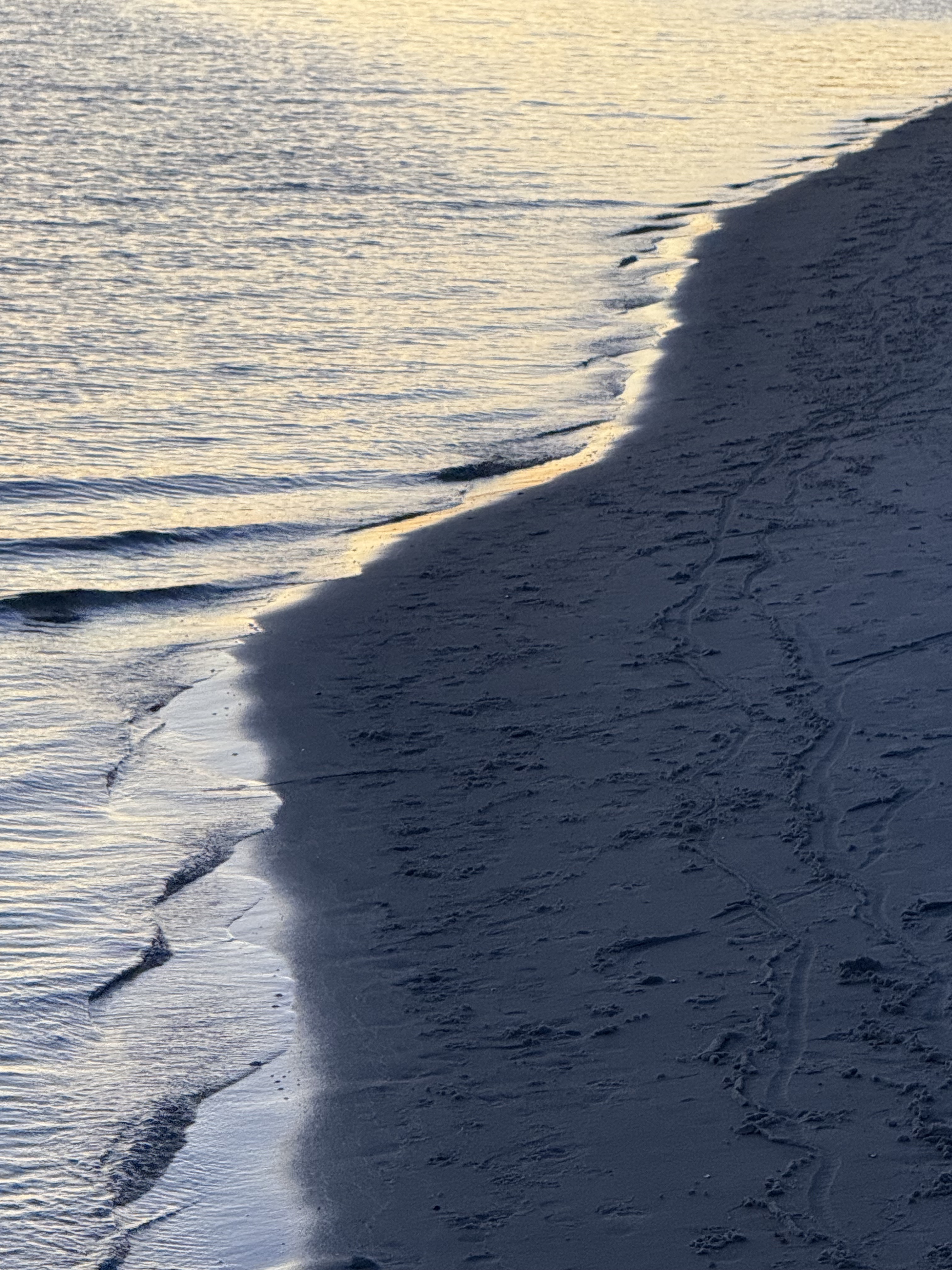 Current – Life is Sailing